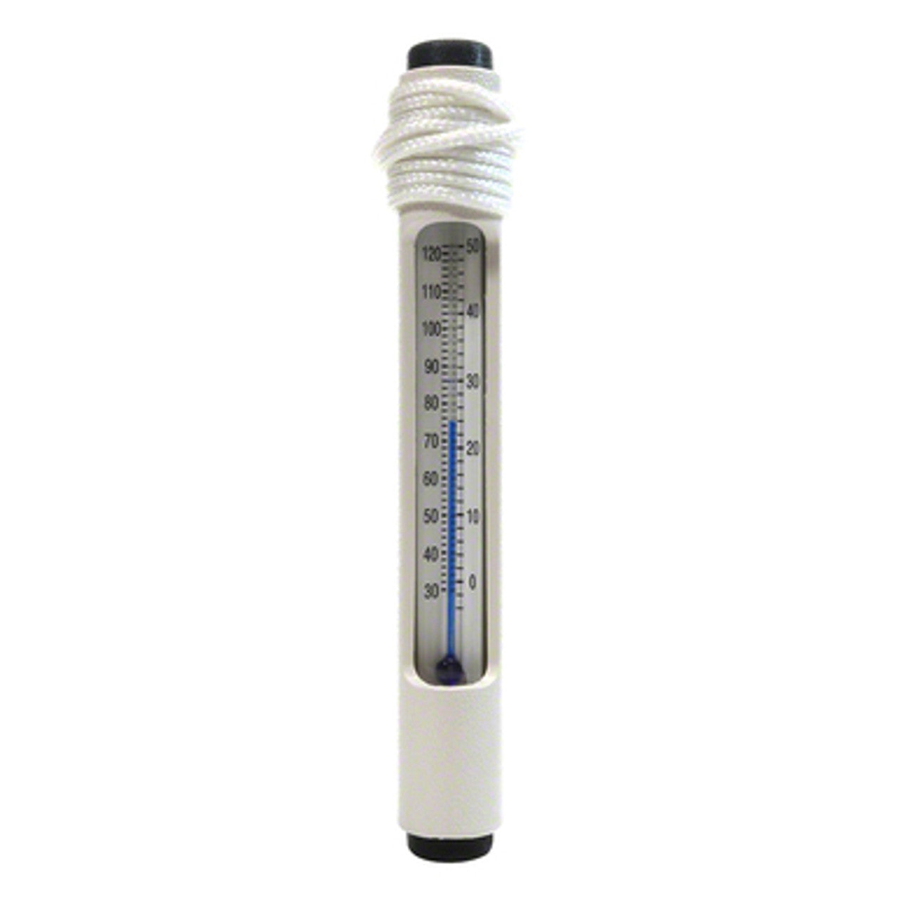 Pentair R141046 Tube Thermometer. ABS molded tube. 3' cord – Premier ...