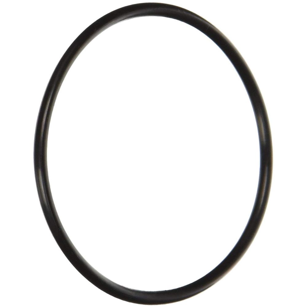 Pentair 355331Z Challenger Diffuser O-Ring – Premier Pool & Spa