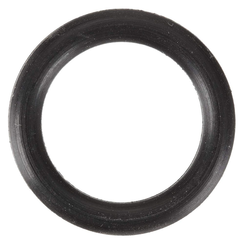 Pentair Drain Plug O-Ring – Premier Pool & Spa
